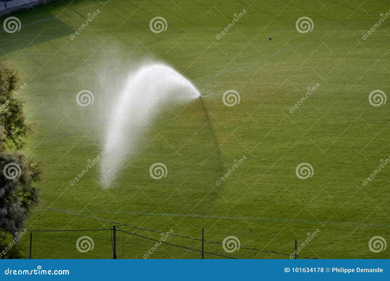 Automatic Watering of a Lawn Stock Photo - Image of crop, green: 101634178