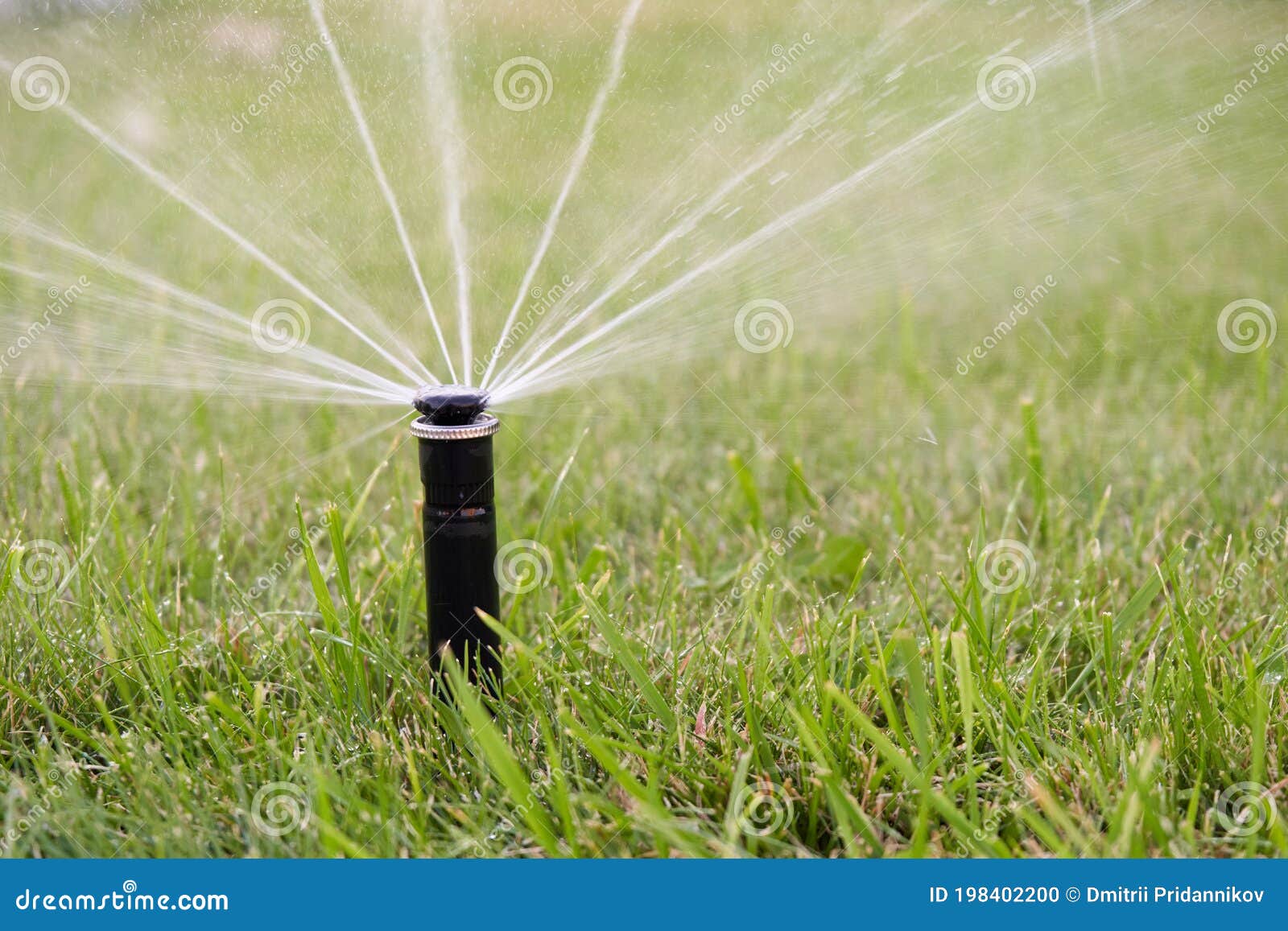 Automatic Watering System Watering the Lawn in the Home Garden Stock ...