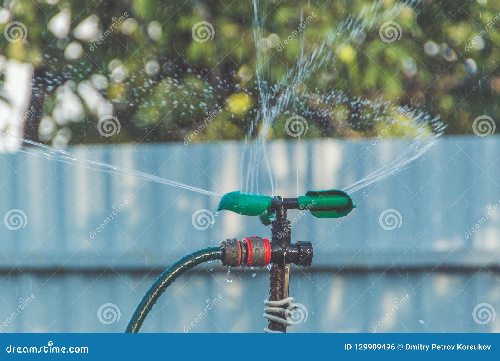 Automatic Watering System with Water Drops in the Garden Stock Photo ...