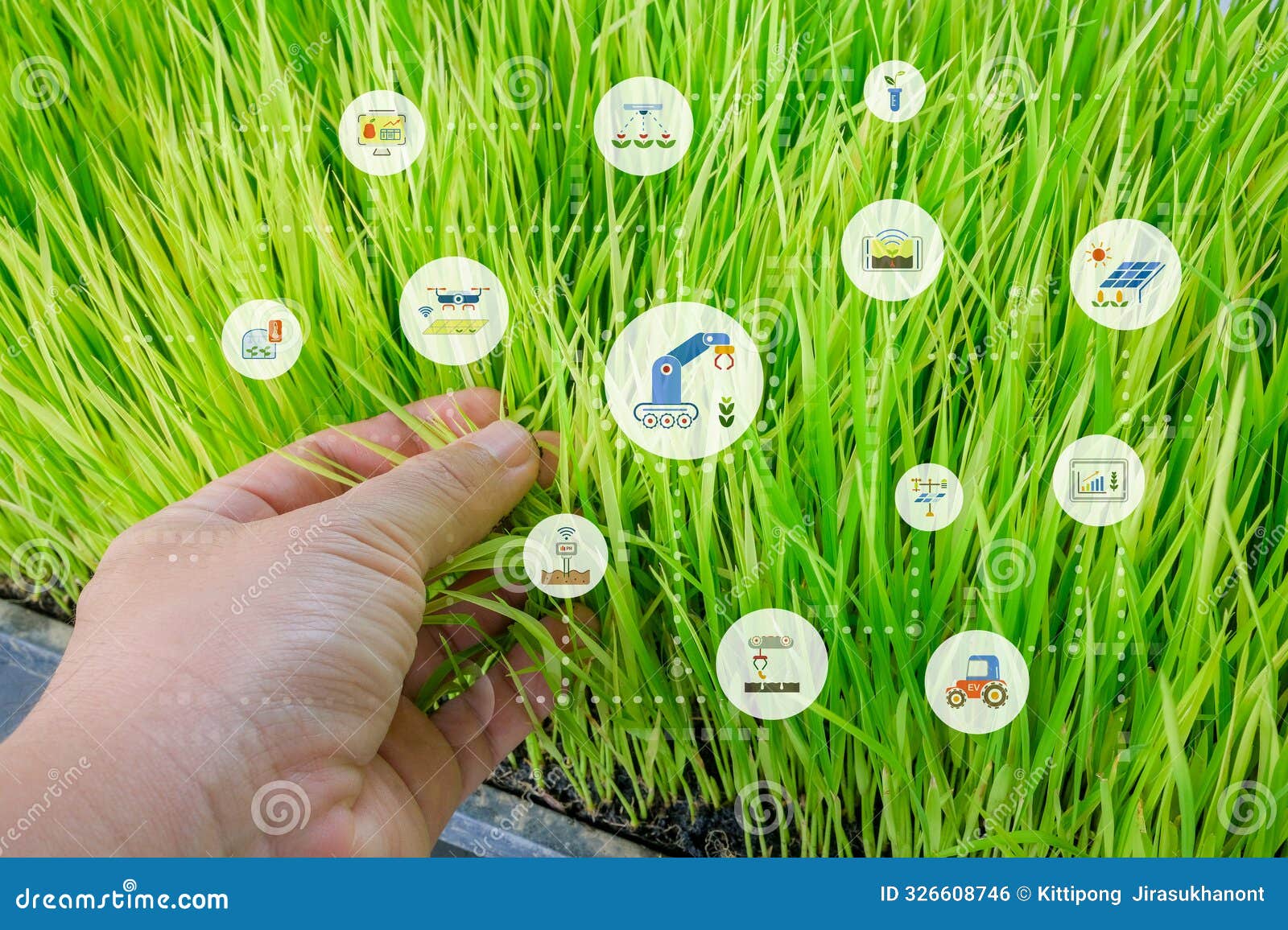 Automation Farm for Precision Agriculture Technology with Digital ...