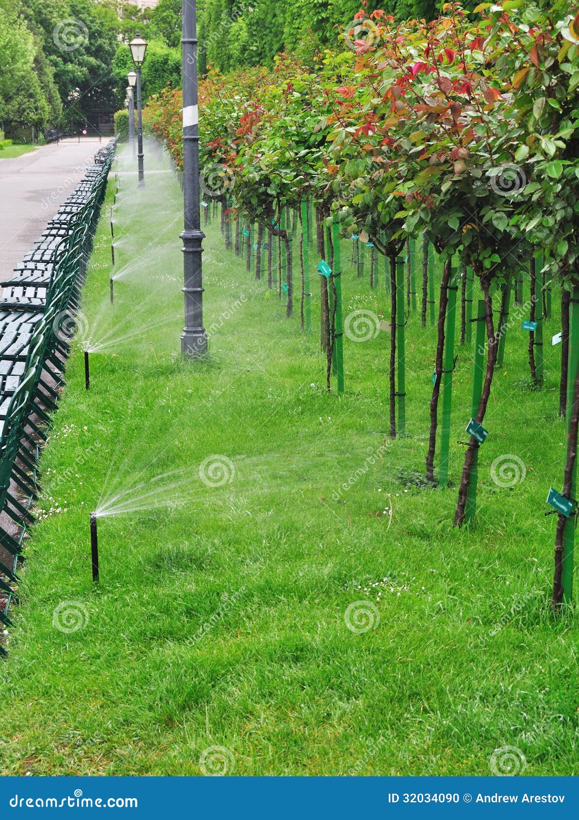 Automatische Het Water Geven Bomen in Het Park Stock Foto - Image of ...