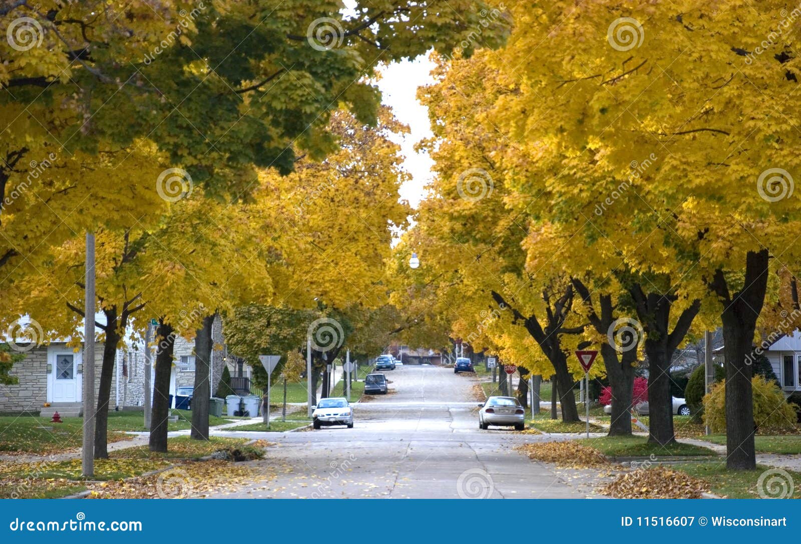 Automne dans la ville image stock. Image du maisons, voisinage - 11516607