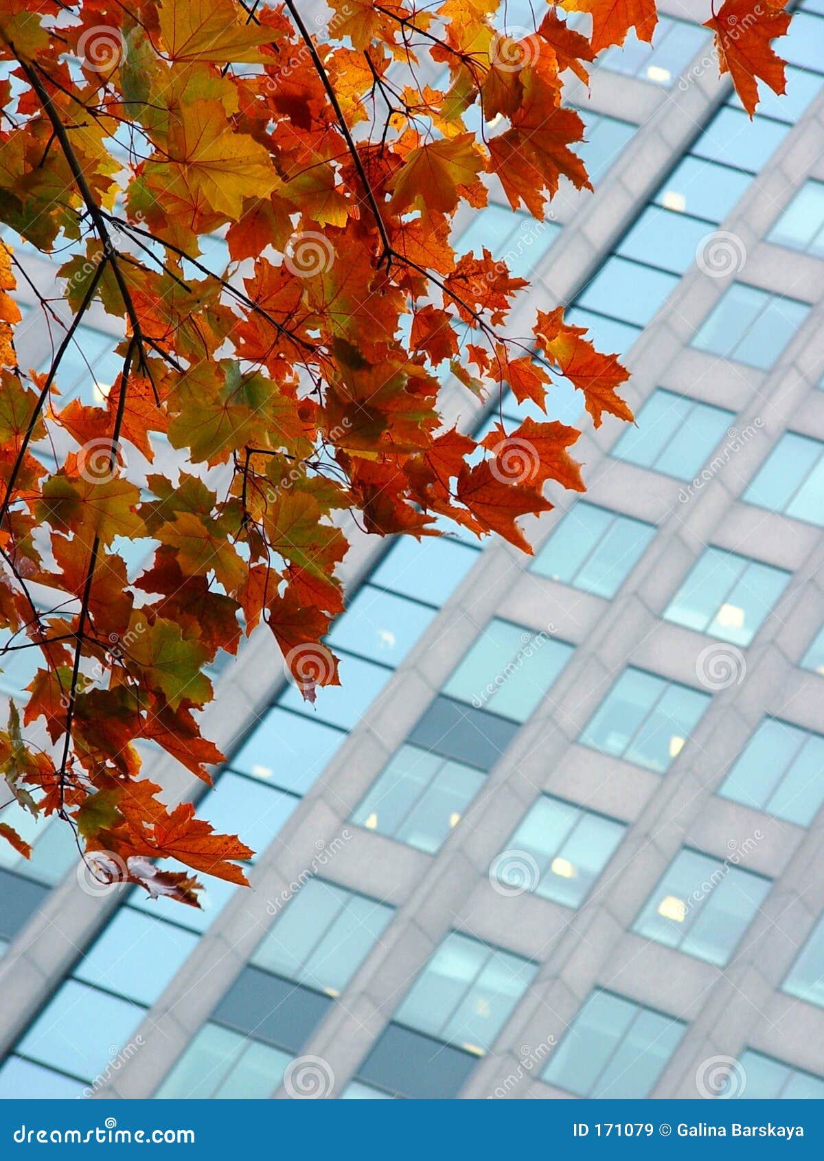 Automne dans une ville image stock. Image du couleur, érable - 171079