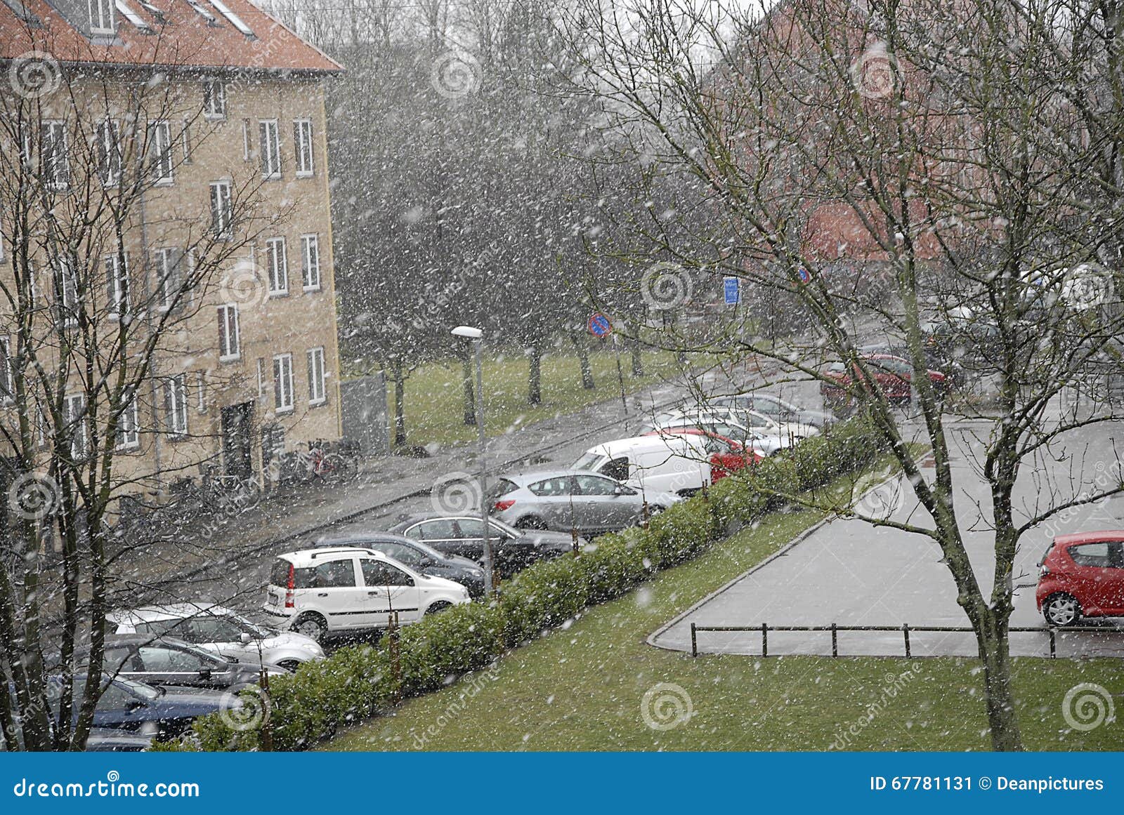 Automnes de neige photo éditorial. Image du éditorial - 67781131