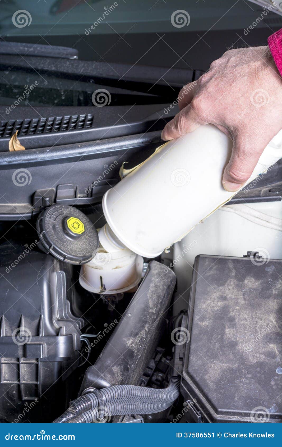 Automobile Engine Adding Brake Fluid Stock Image - Image of automobile ...