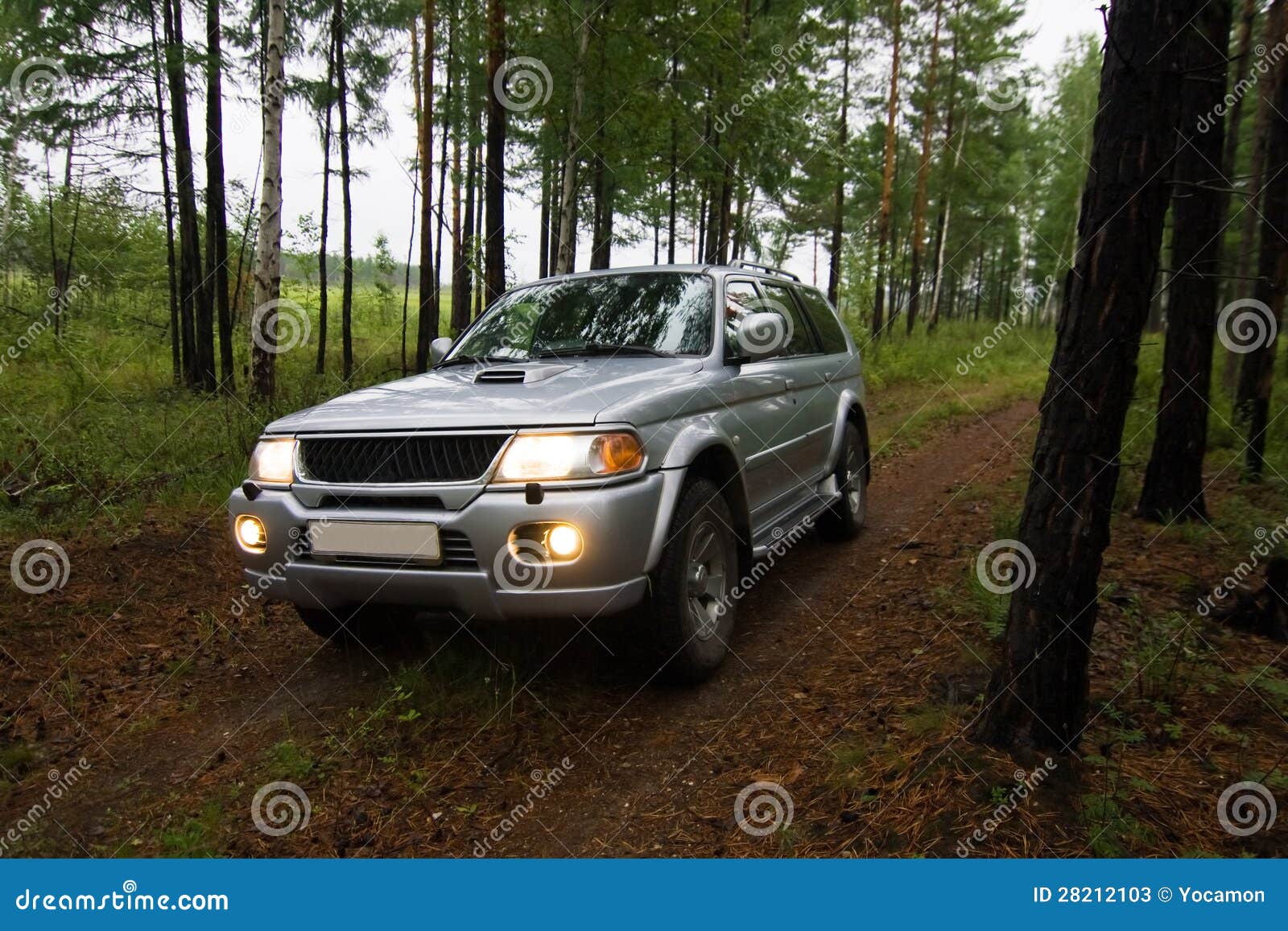 Automobile in foresta immagine stock. Immagine di argento - 28212103