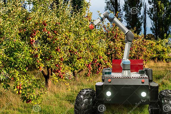 Autonomous Robot Harvester with Robotic Arm Harvesting Apples on a ... Autonomous Robot Harvester with Robotic Arm Harvesting Apples on a ...