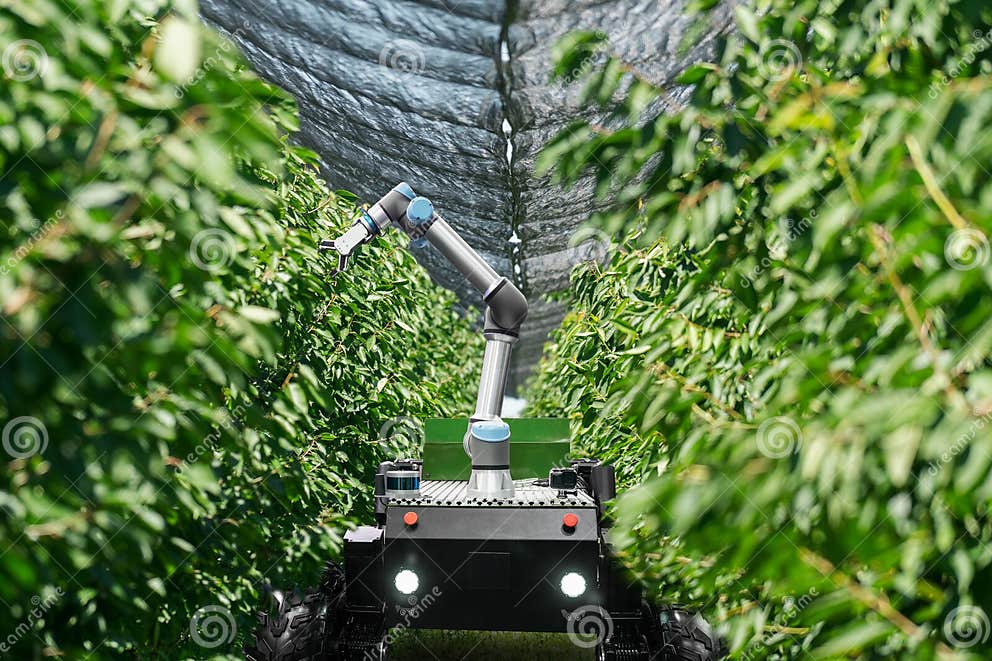 Autonomous Robot Harvester with Robotic Arm Harvesting Fruits on a ... Autonomous Robot Harvester with Robotic Arm Harvesting Fruits on a ...
