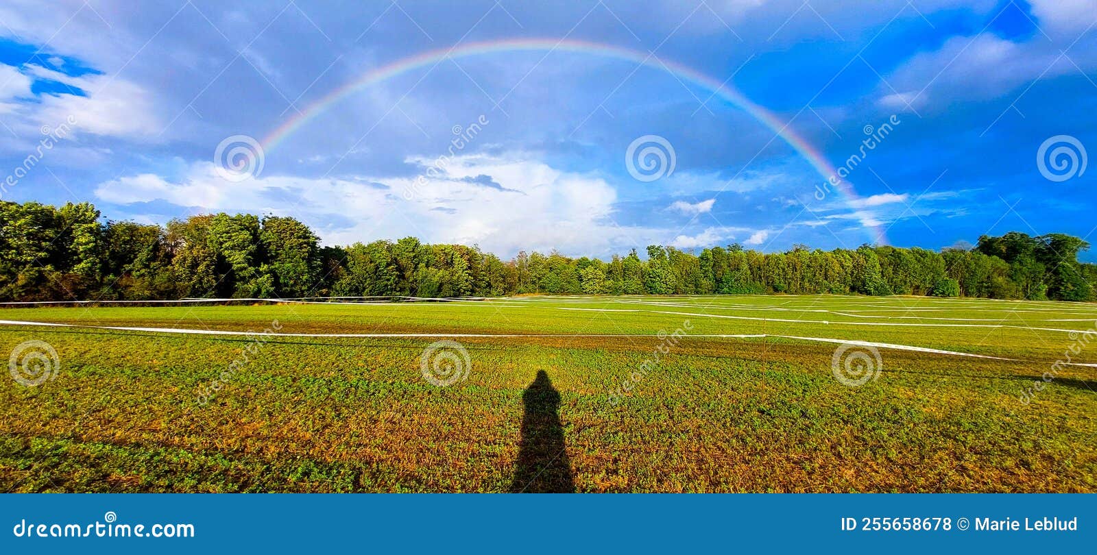 Autoportrait Shadow Rainbow Meadow Stock Photo - Image of meadow ...