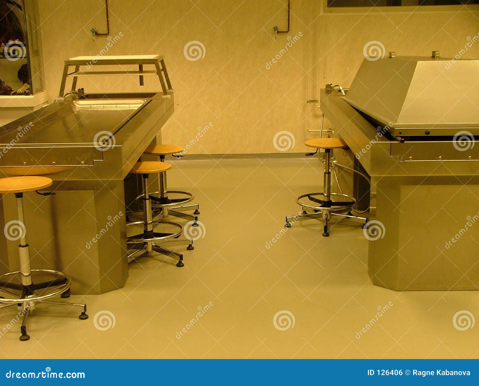 Autopsy room stock photo. Image of clinical, laboratory - 126406