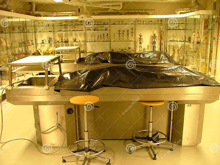 Autopsy room stock photo. Image of examiner, metal, mortem - 126422