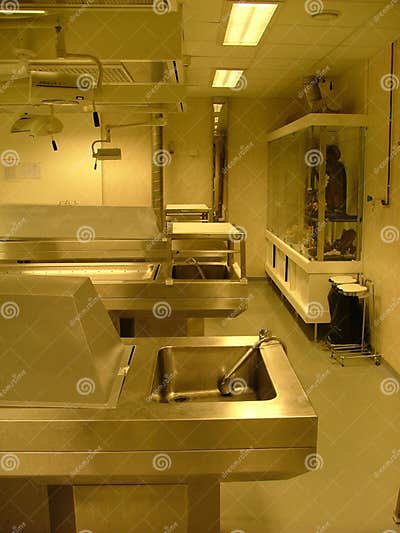 Autopsy room stock photo. Image of clinical, chest, autopsia - 126426