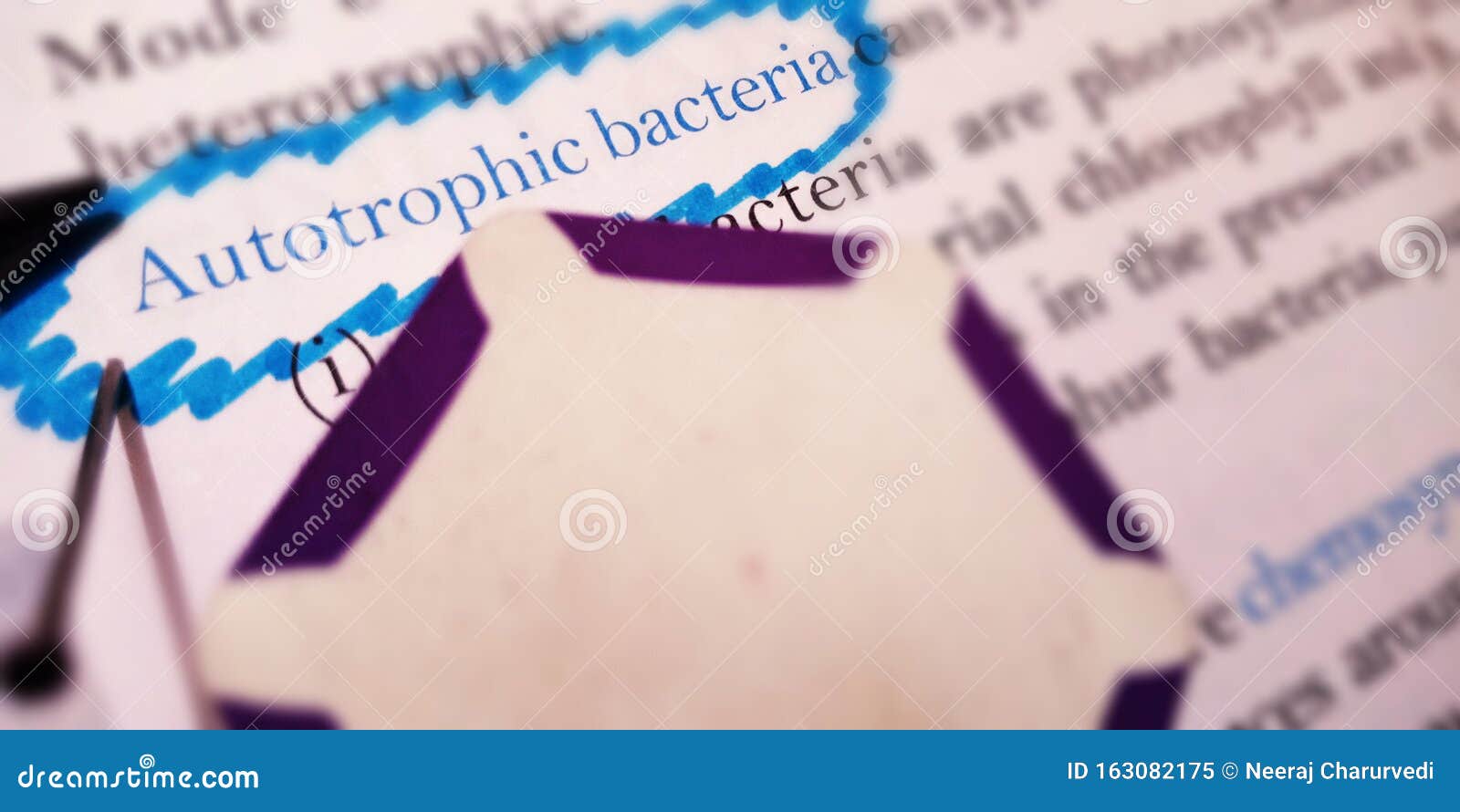 Autotrophic Bacteria Text Covering through Blue Border Text Pattern ...