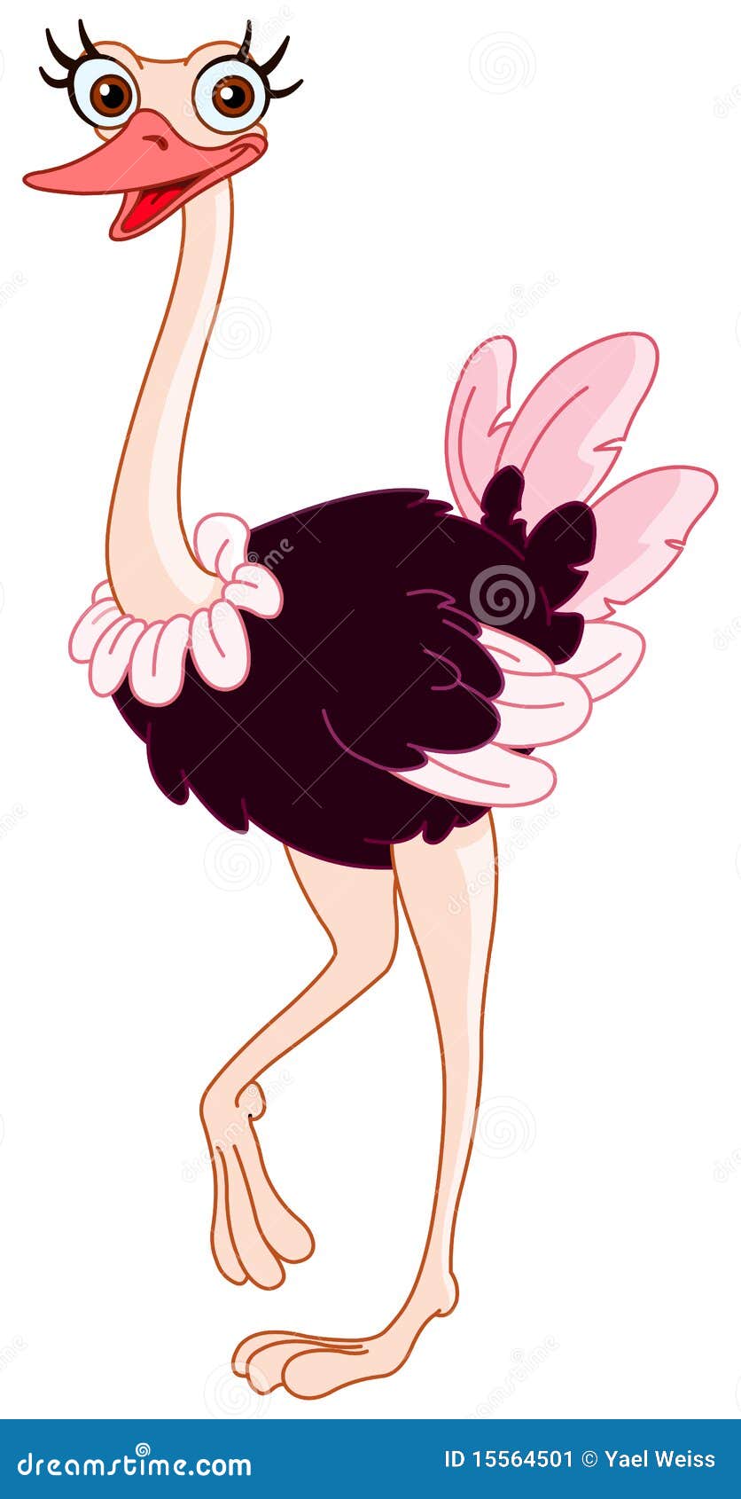 Autruche illustration de vecteur. Illustration du heureux - 15564501