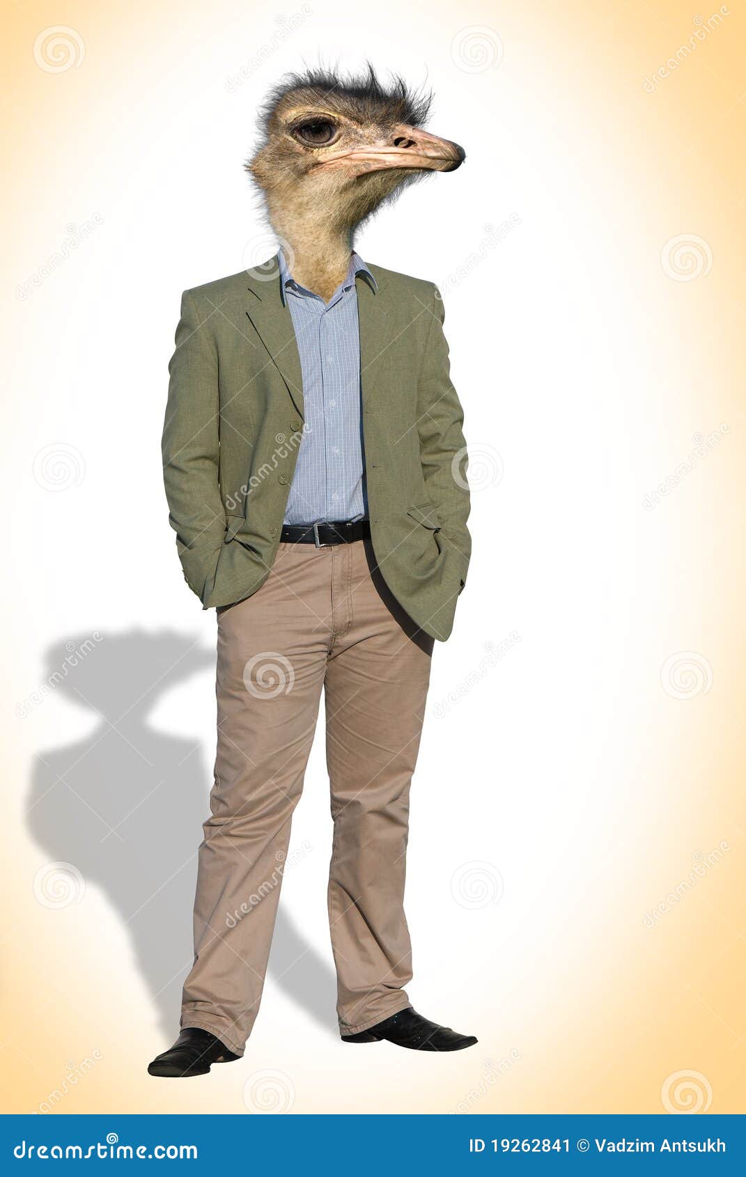 Autruche-Homme image stock. Image du tête, looser, crédit - 19262841