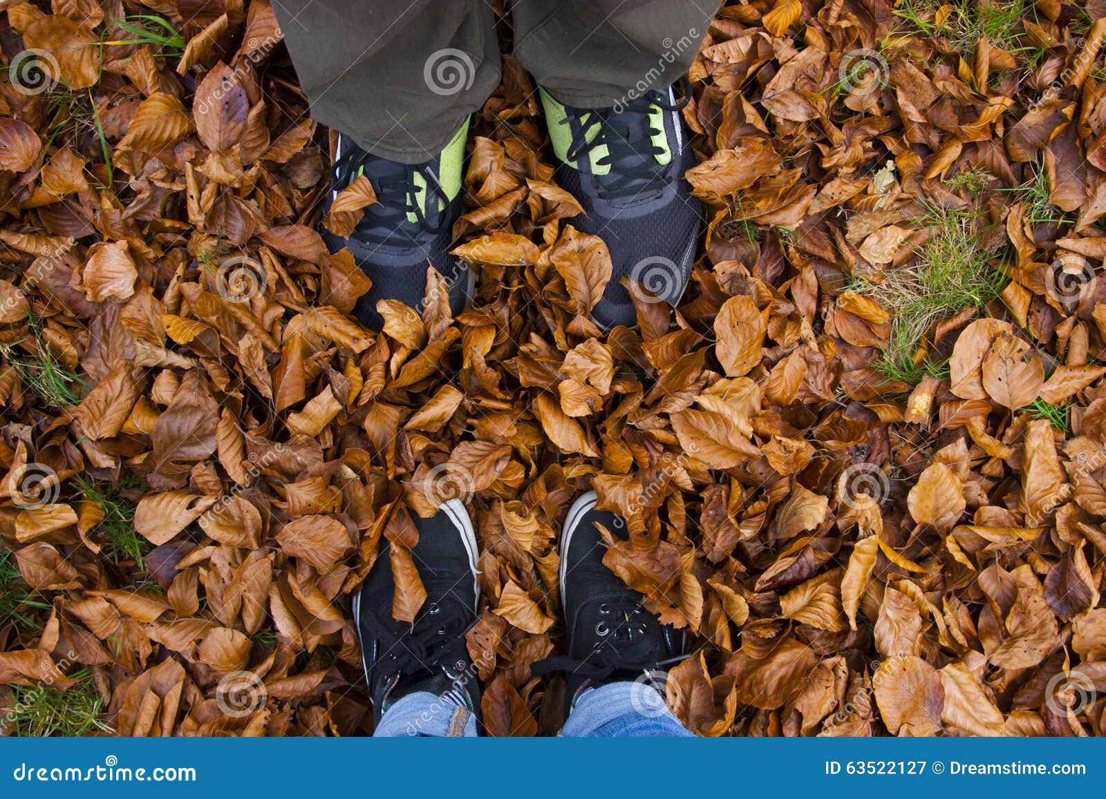 Autum image stock. Image du avenir, études, cellule, escaliers - 63522127