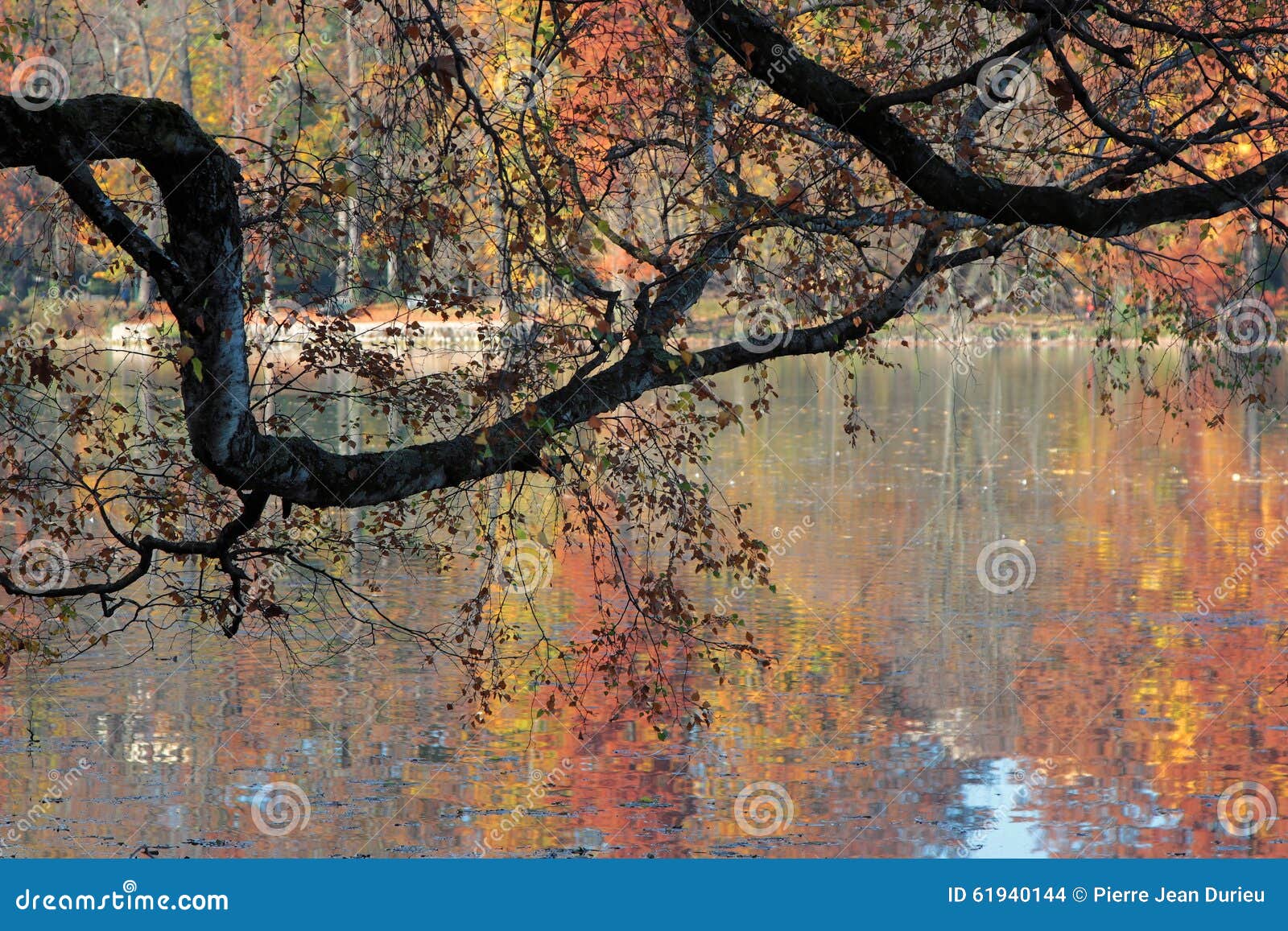 Autum colors on the lake stock photo. Image of fallen - 61940144