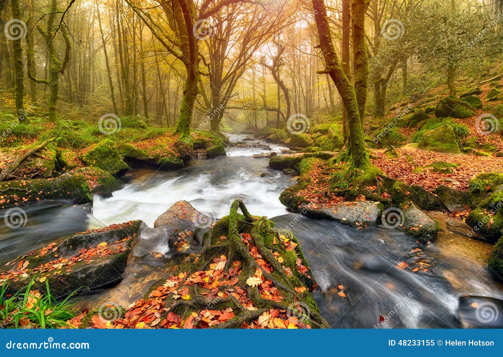 Autum Forest River stock image. Image of cornwall, magical - 48233155