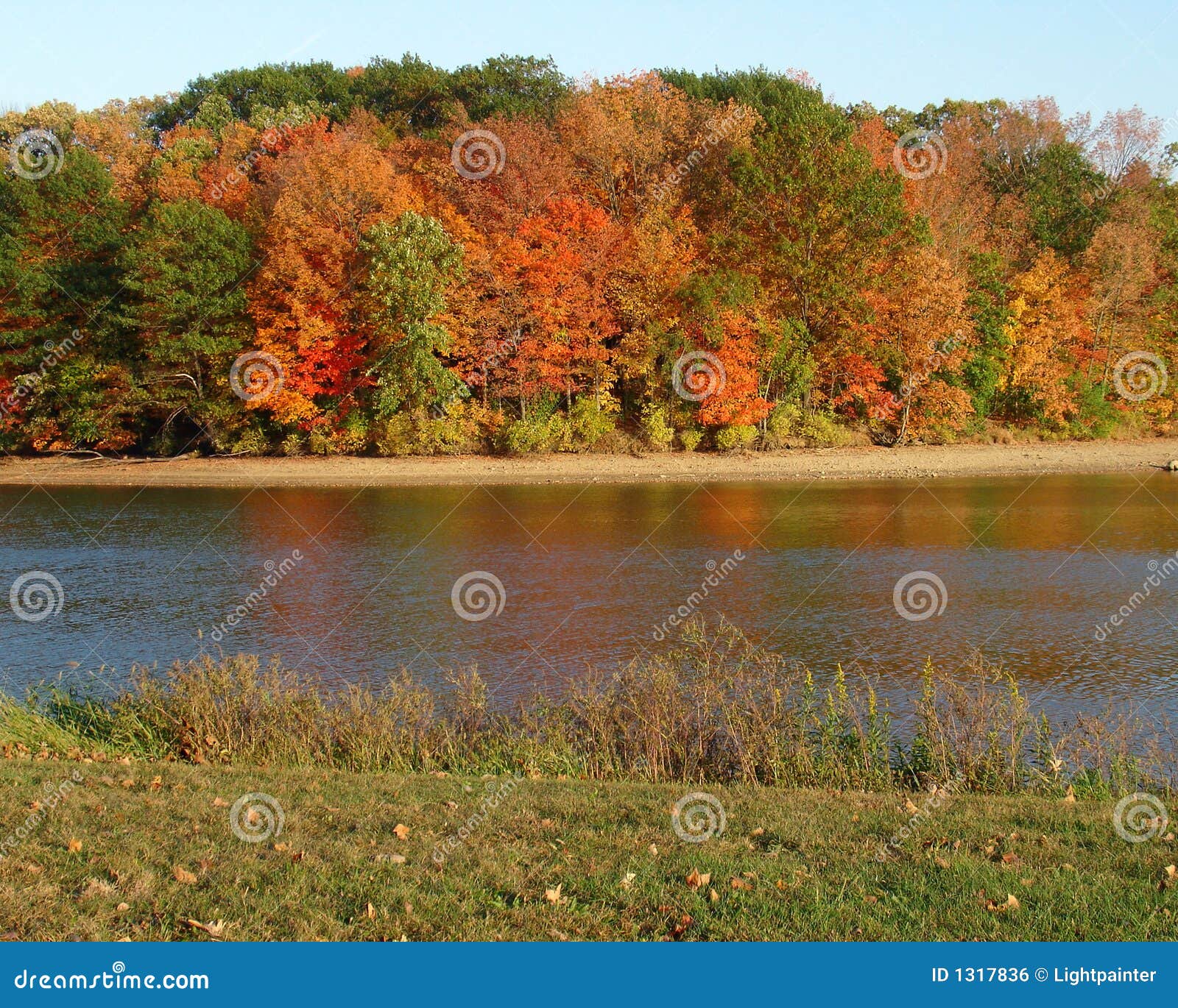 Autum four stock photo. Image of collage, growth, countryside - 1317836