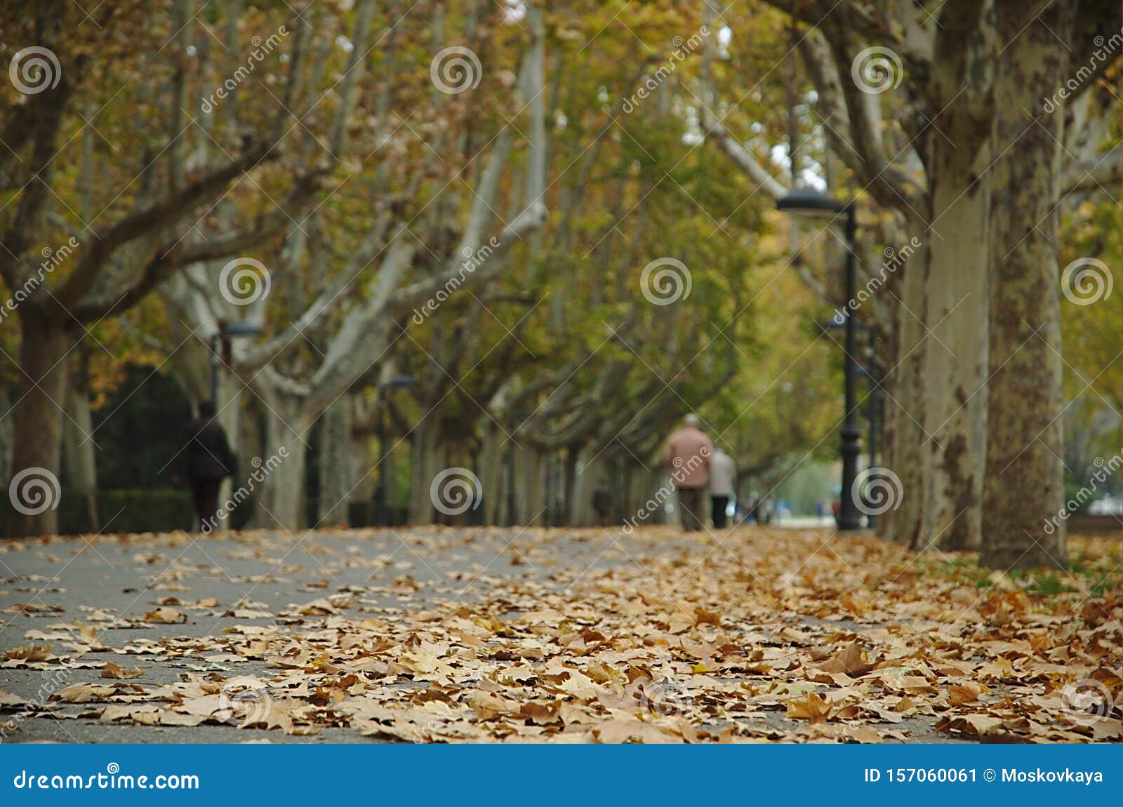 Elderly People Walking. Autumn Fall Leaves in a Park. Autumn Colors ...