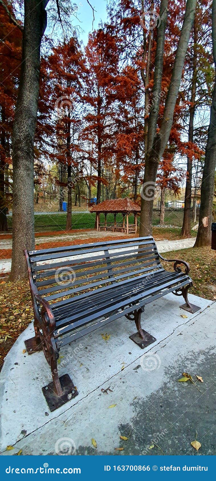 Autumn stock photo. Image of outside, park, rusty, bench - 163700866