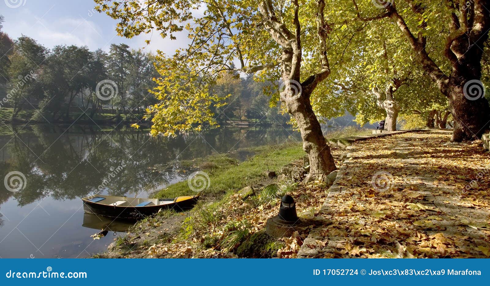 Autum scene stock photo. Image of sport, fall, autumn - 17052724