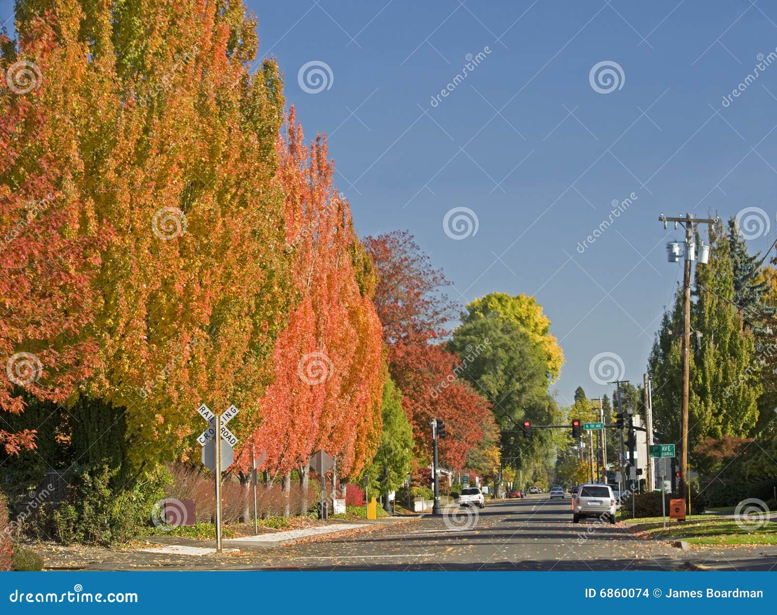 Autum Street stock photo. Image of beautiful, street, leave - 6860074