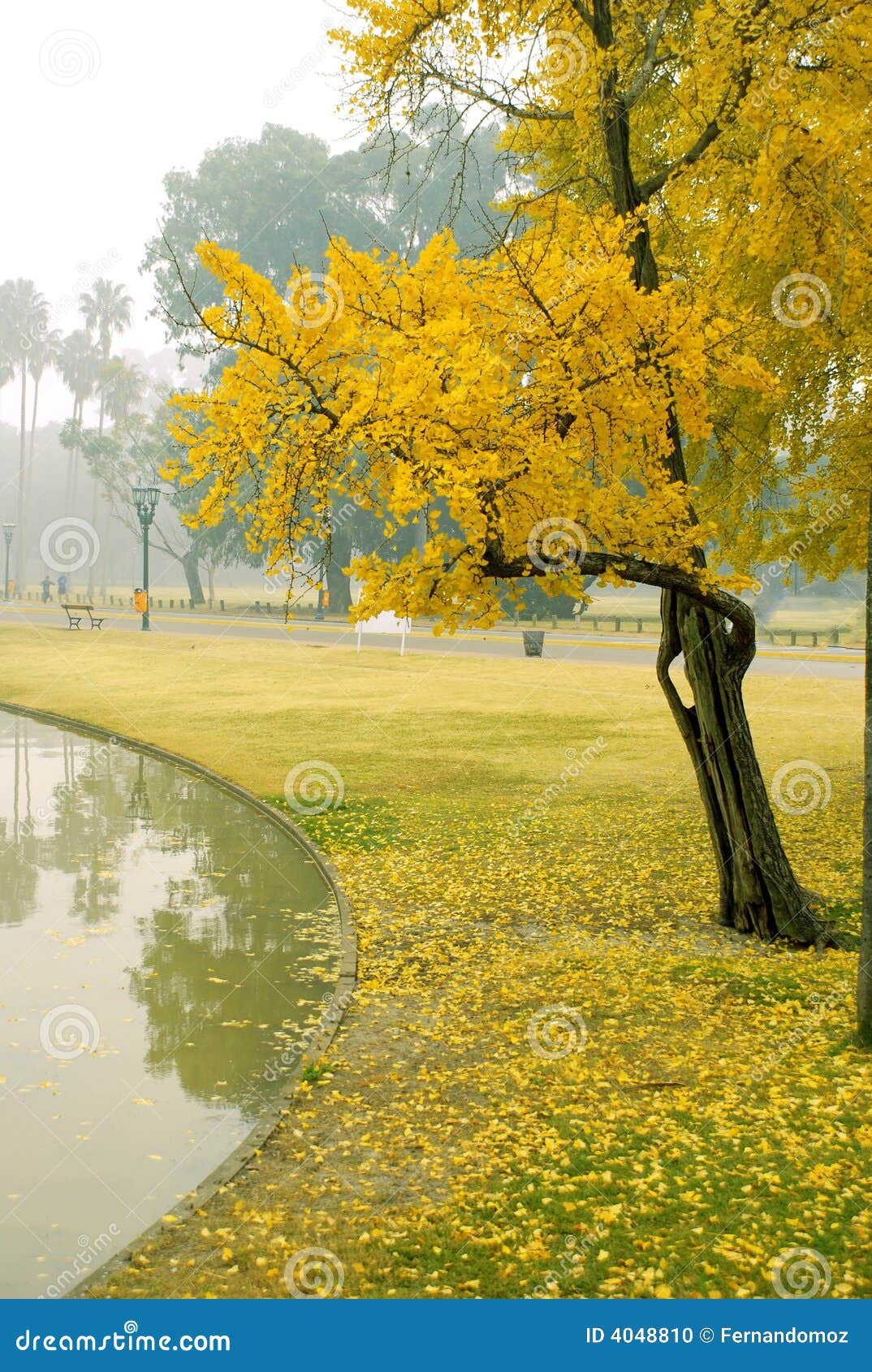 1,753 Autumm Photos - Free & Royalty-Free Stock Photos from Dreamstime