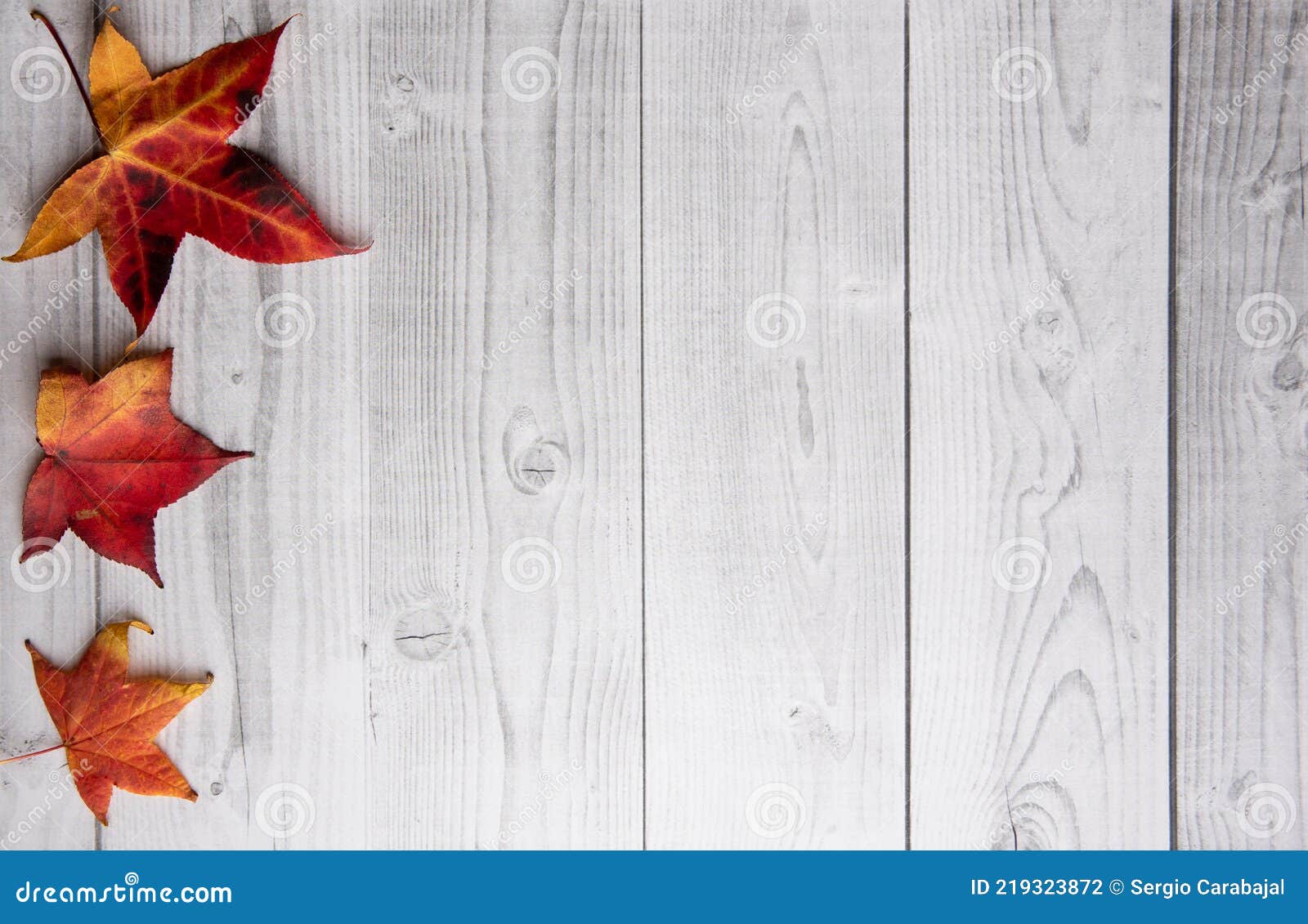Autumm Leaves on a White Rustic Table, on Left Side Stock Photo - Image ...