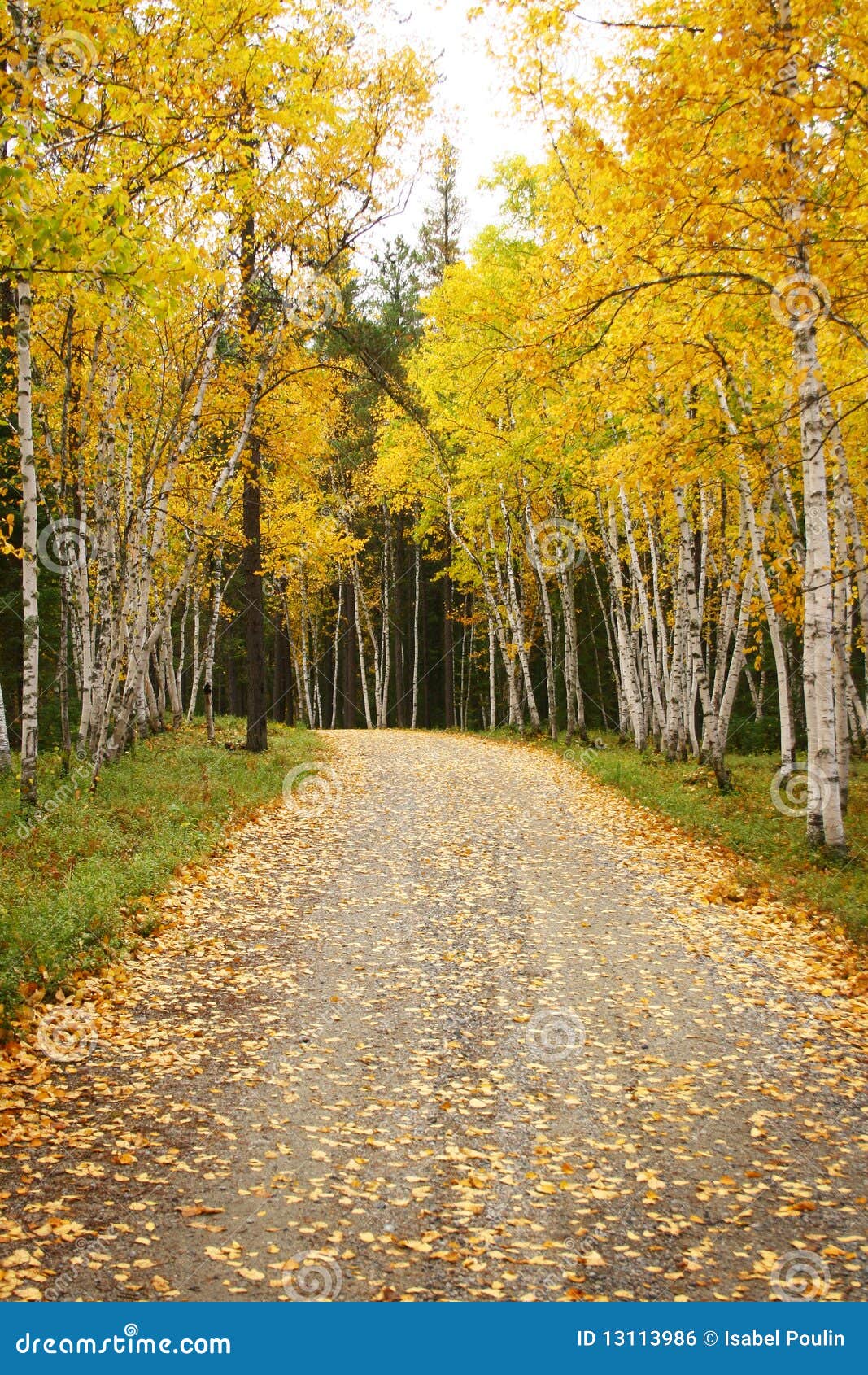 Collection of Fall Season Photos - Dreamstime ID:8964