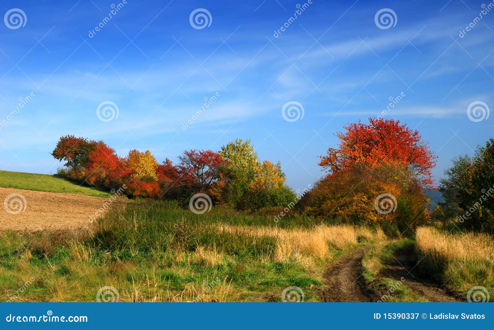 Autumn stock image. Image of september, scenery, field - 15390337