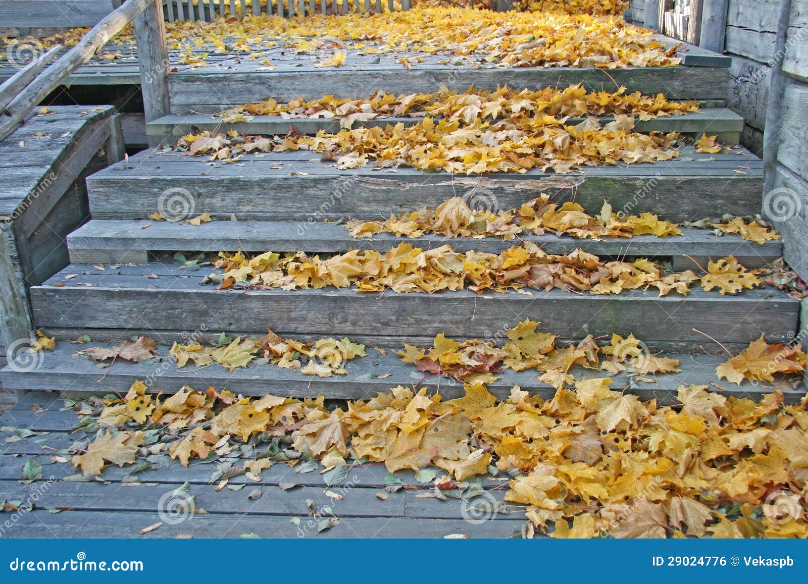 Autumn stock photo. Image of nature, autumn, steps, beauty - 29024776