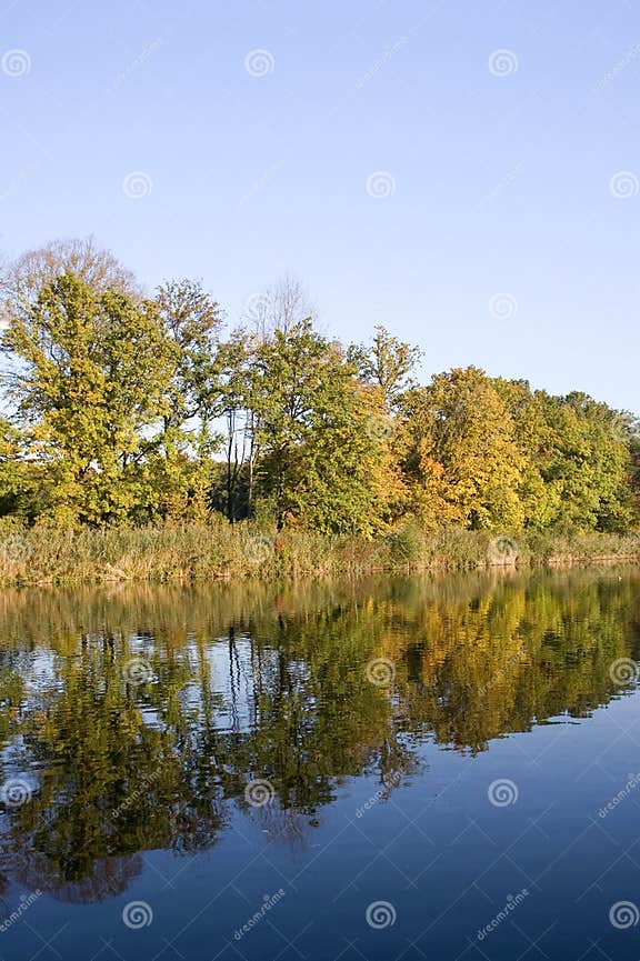 Autumn stock image. Image of plants, fall, season, water - 303493