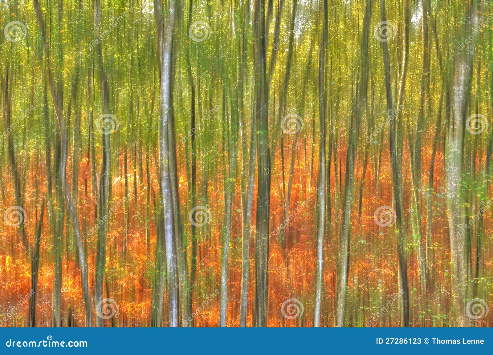 Autumn abstract stock image. Image of abstract, green - 27286123