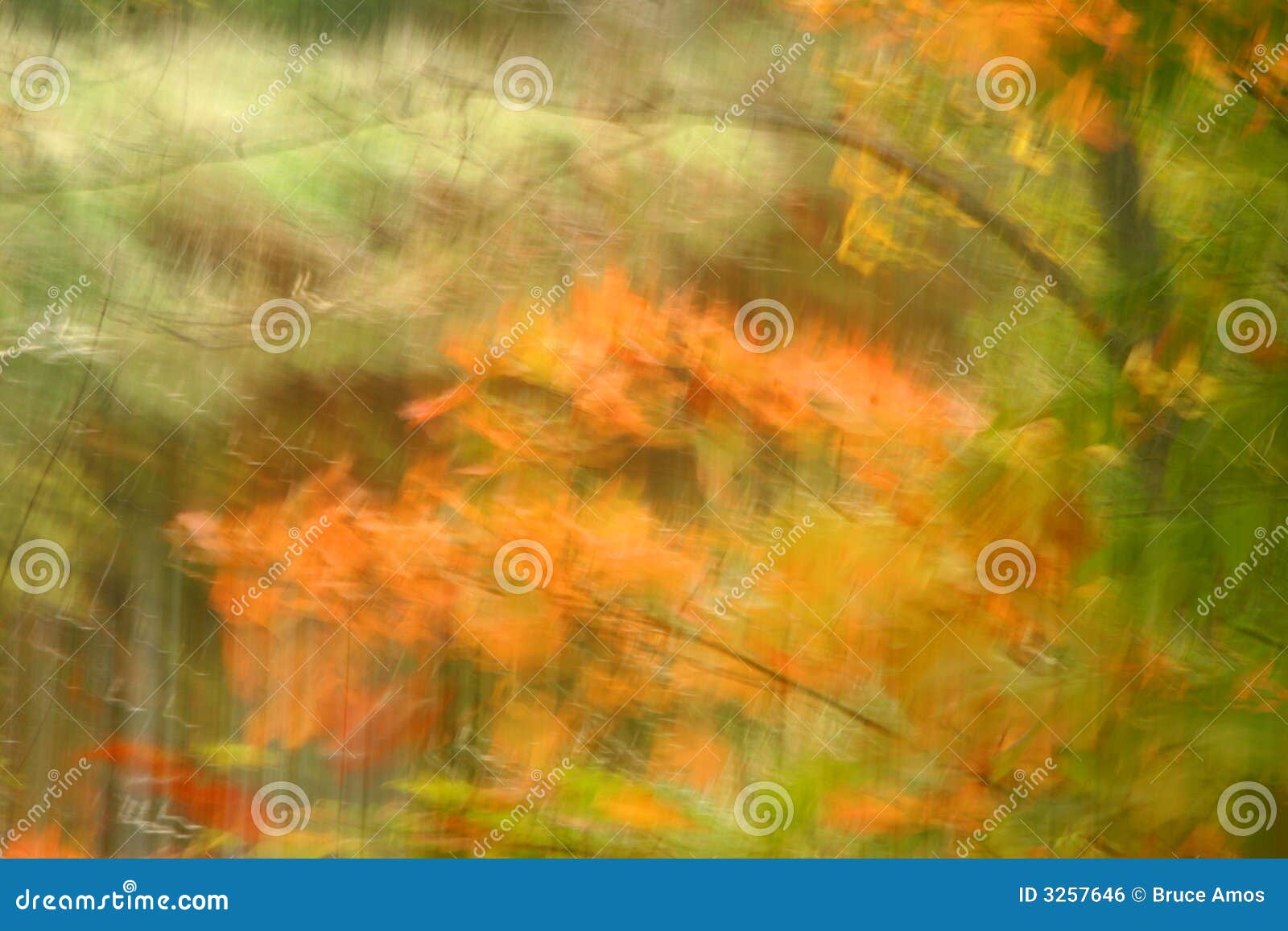 Autumn abstract stock photo. Image of cool, scene, season - 3257646