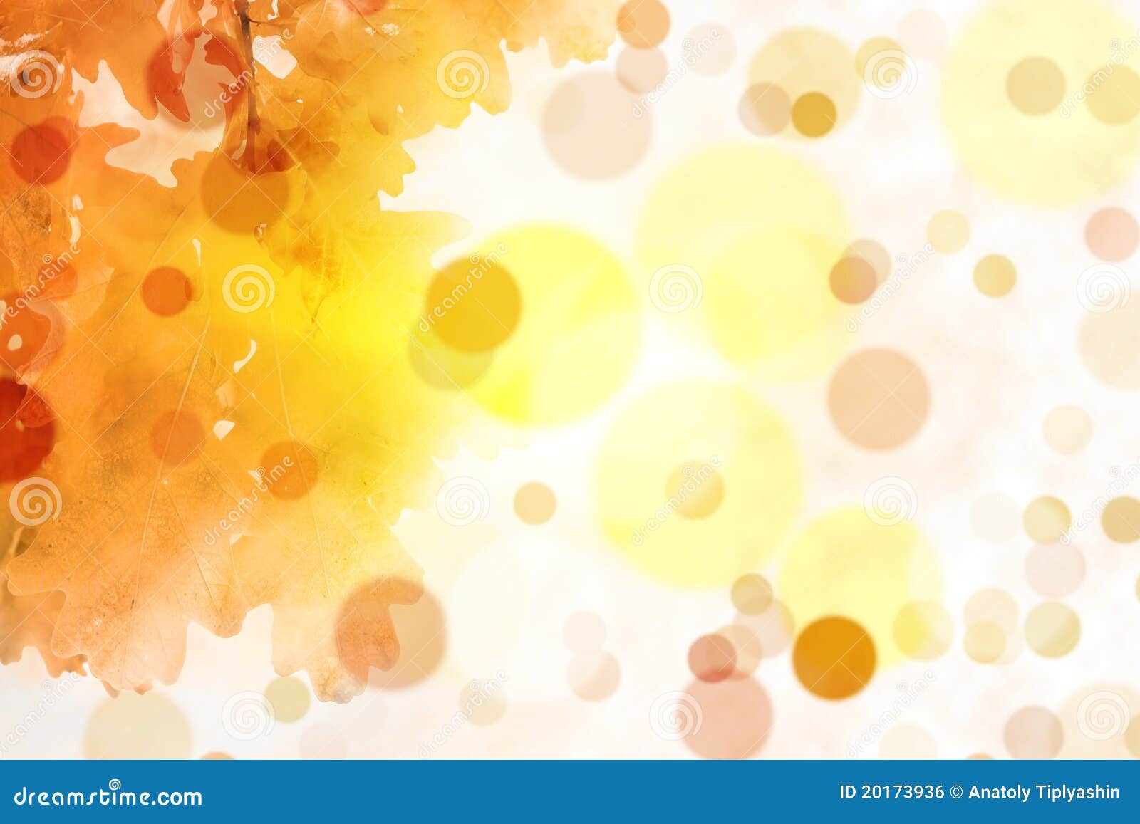 Autumn abstract background stock photo. Image of focus - 20173936