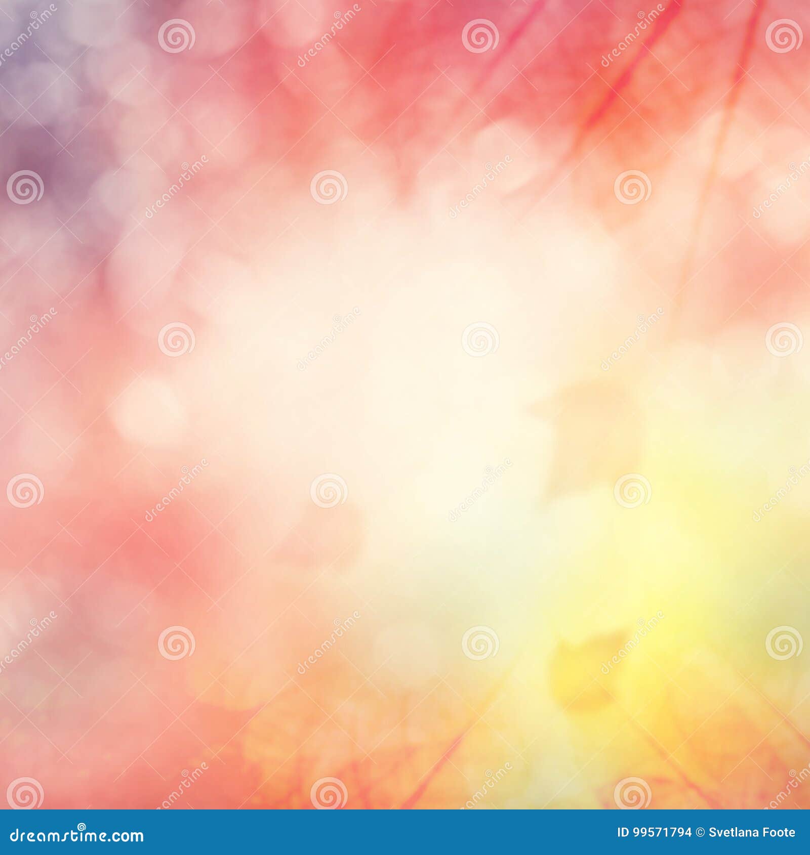 Autumn abstract background stock photo. Image of fall - 99571794