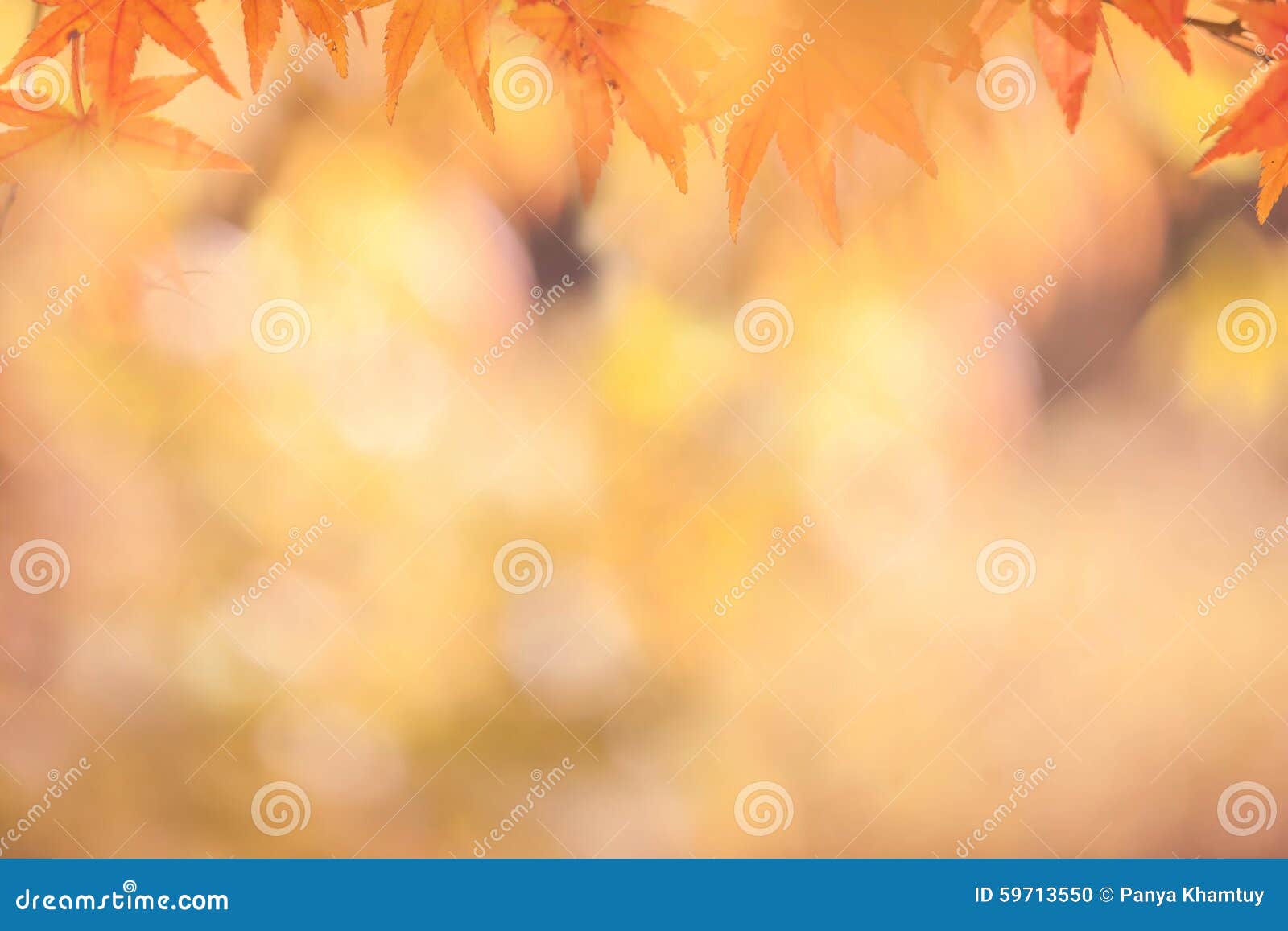 Autumn Abstract Backgrounds Stock Photo - Image of overcast, leaf: 59713550