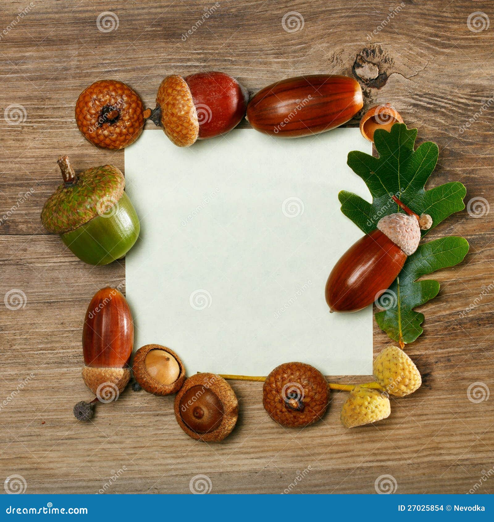 Autumn acorn frame stock photo. Image of copyspace, season - 27025854