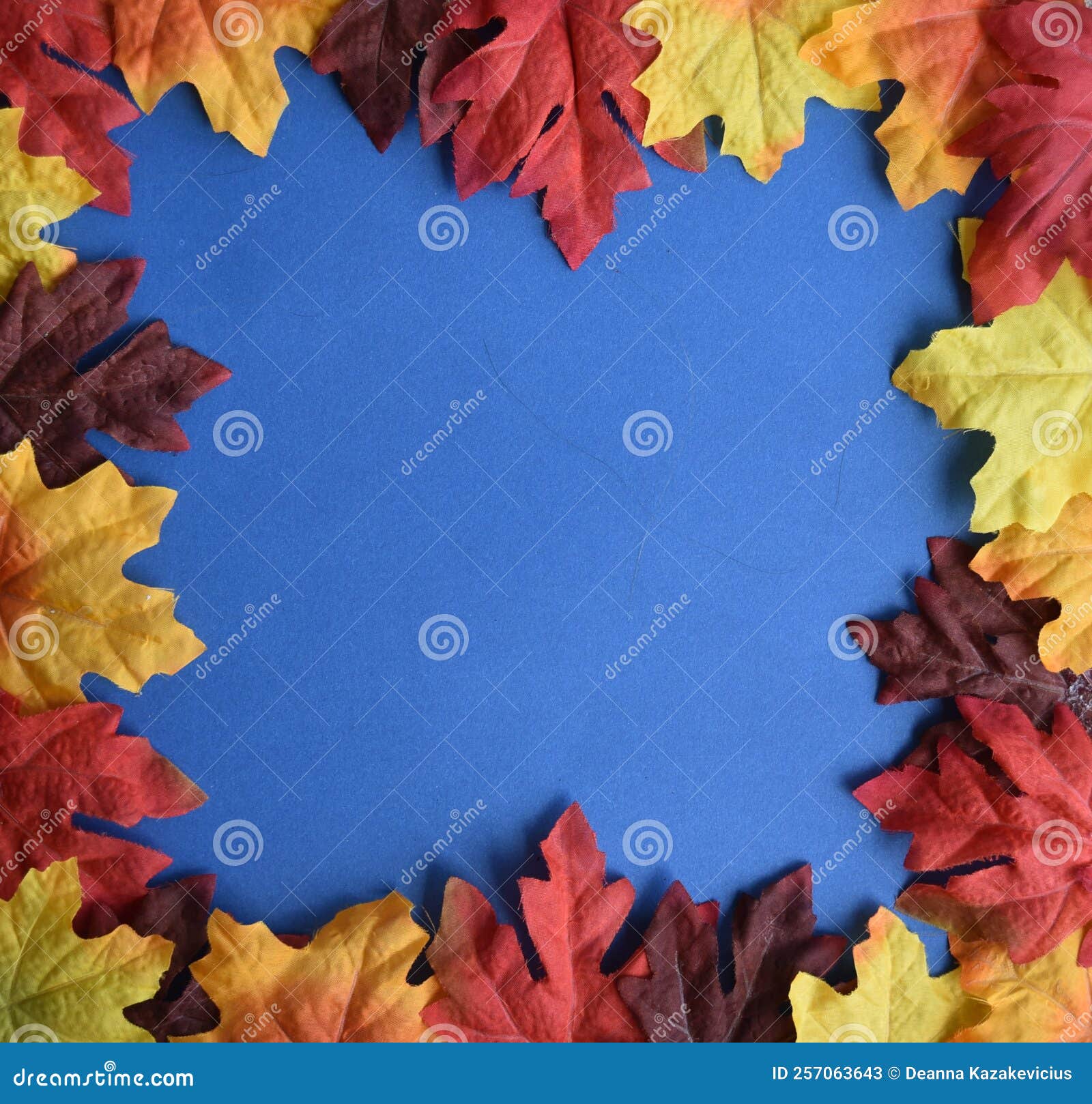 Fall Leaf Border on Classic Blue Blank Background Stock Image - Image ...