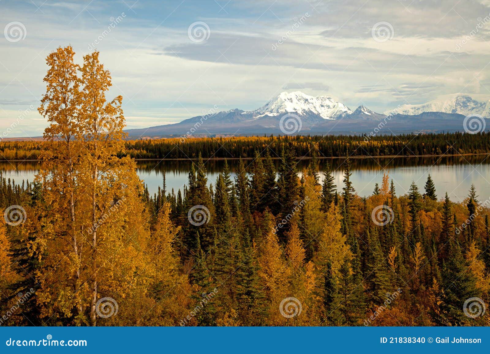 Autumn in Alaska stock photo. Image of trees, alaska - 21838340
