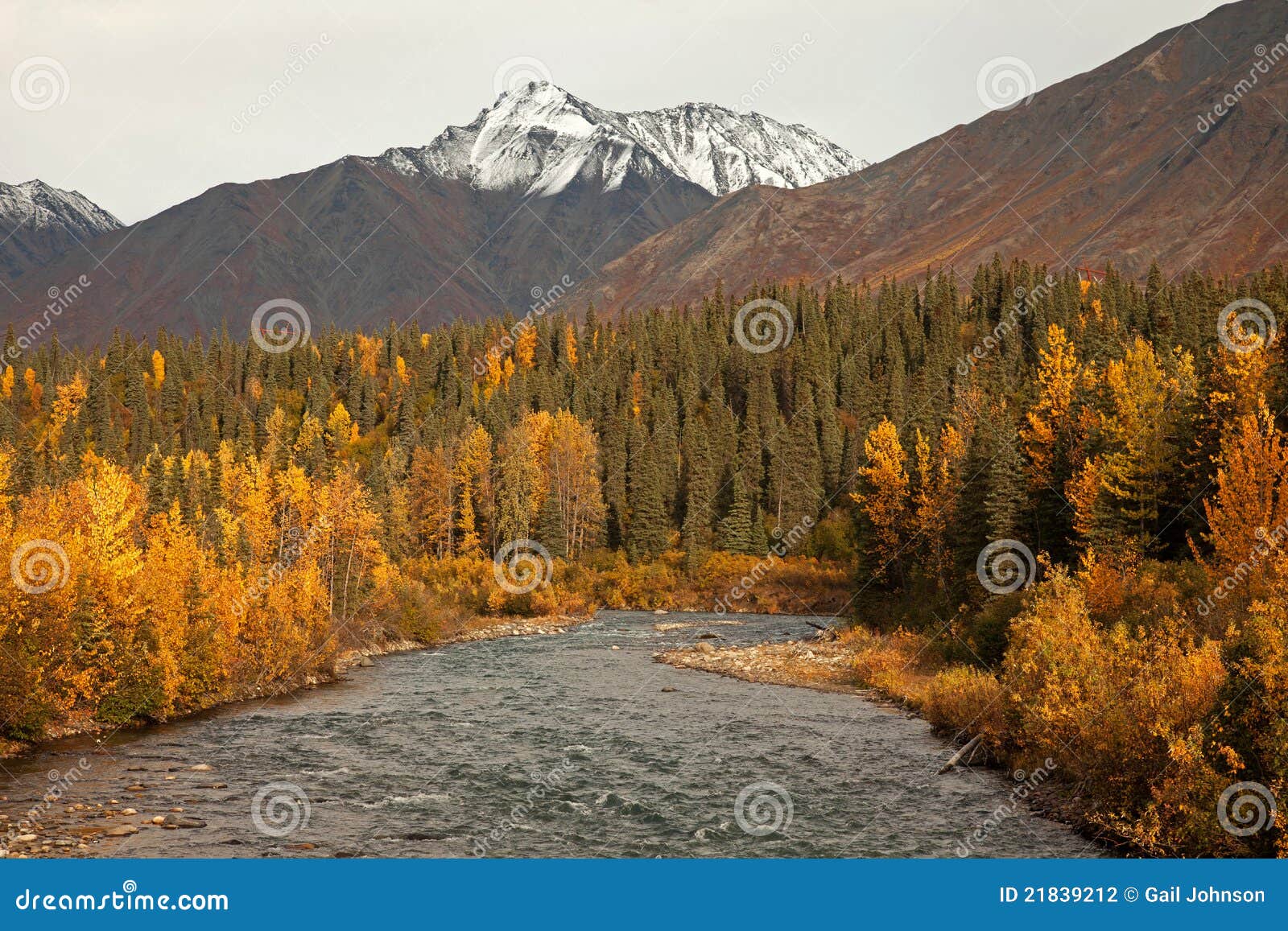 Autumn in Alaska stock photo. Image of north, wrangell - 21839212