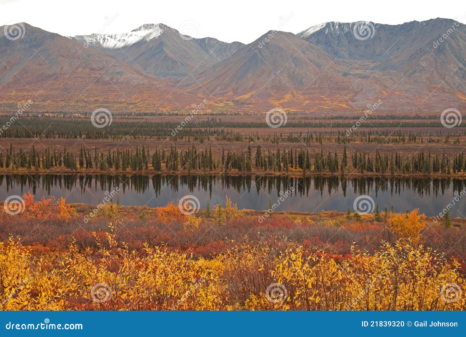 Autumn in Alaska stock photo. Image of fall, alaska, trees - 21839320