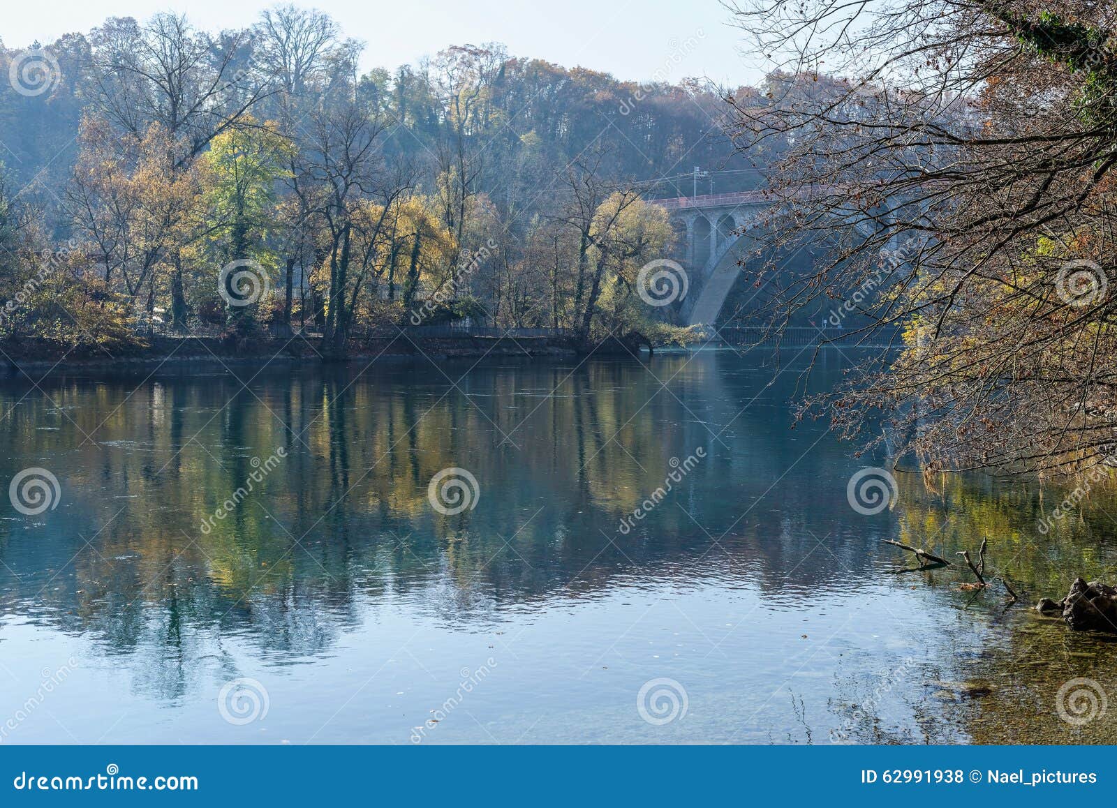 Autumn along the river stock photo. Image of sunny, tree - 62991938