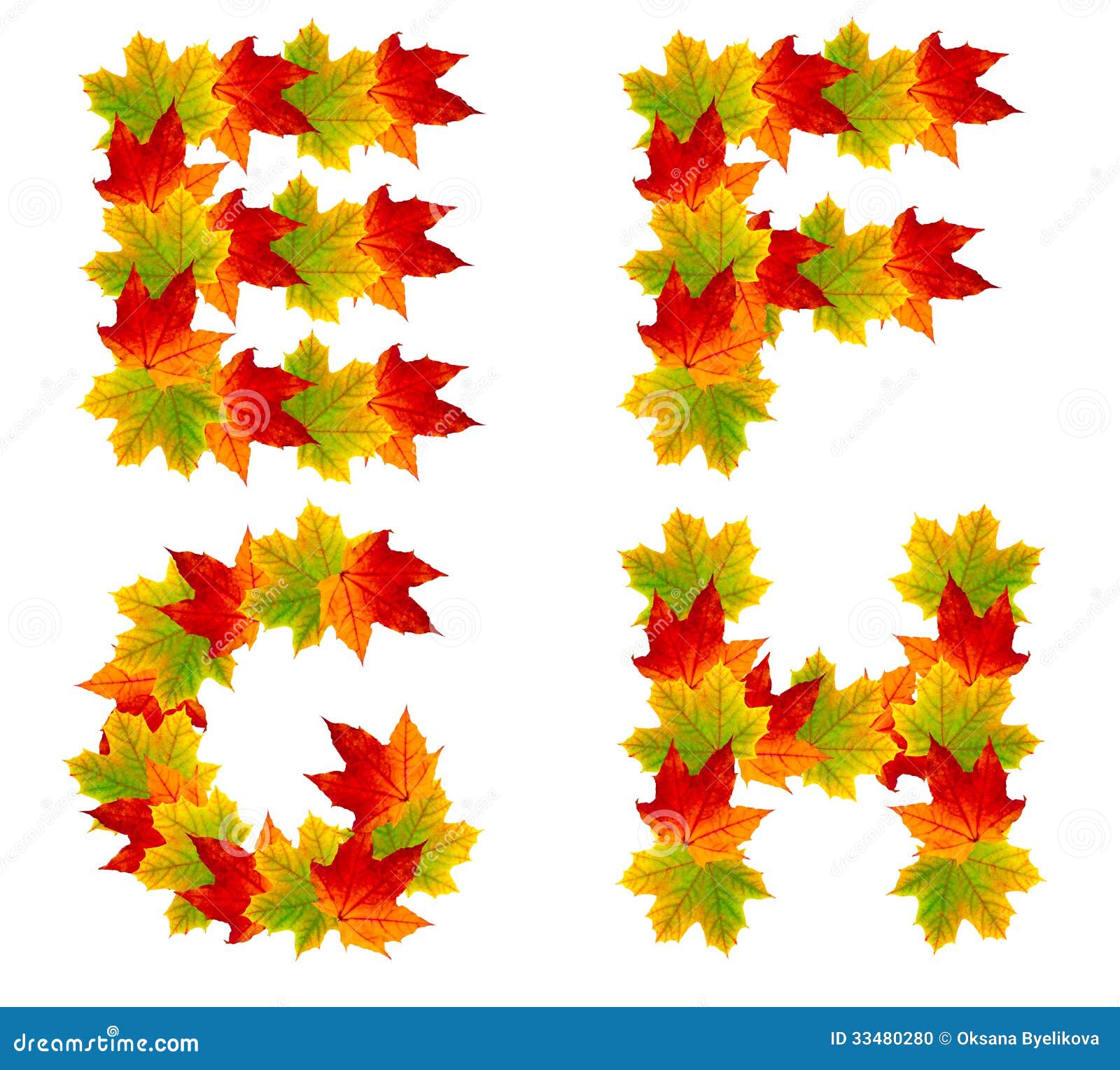 Autumn alphabet stock photo. Image of flower, english - 33480280