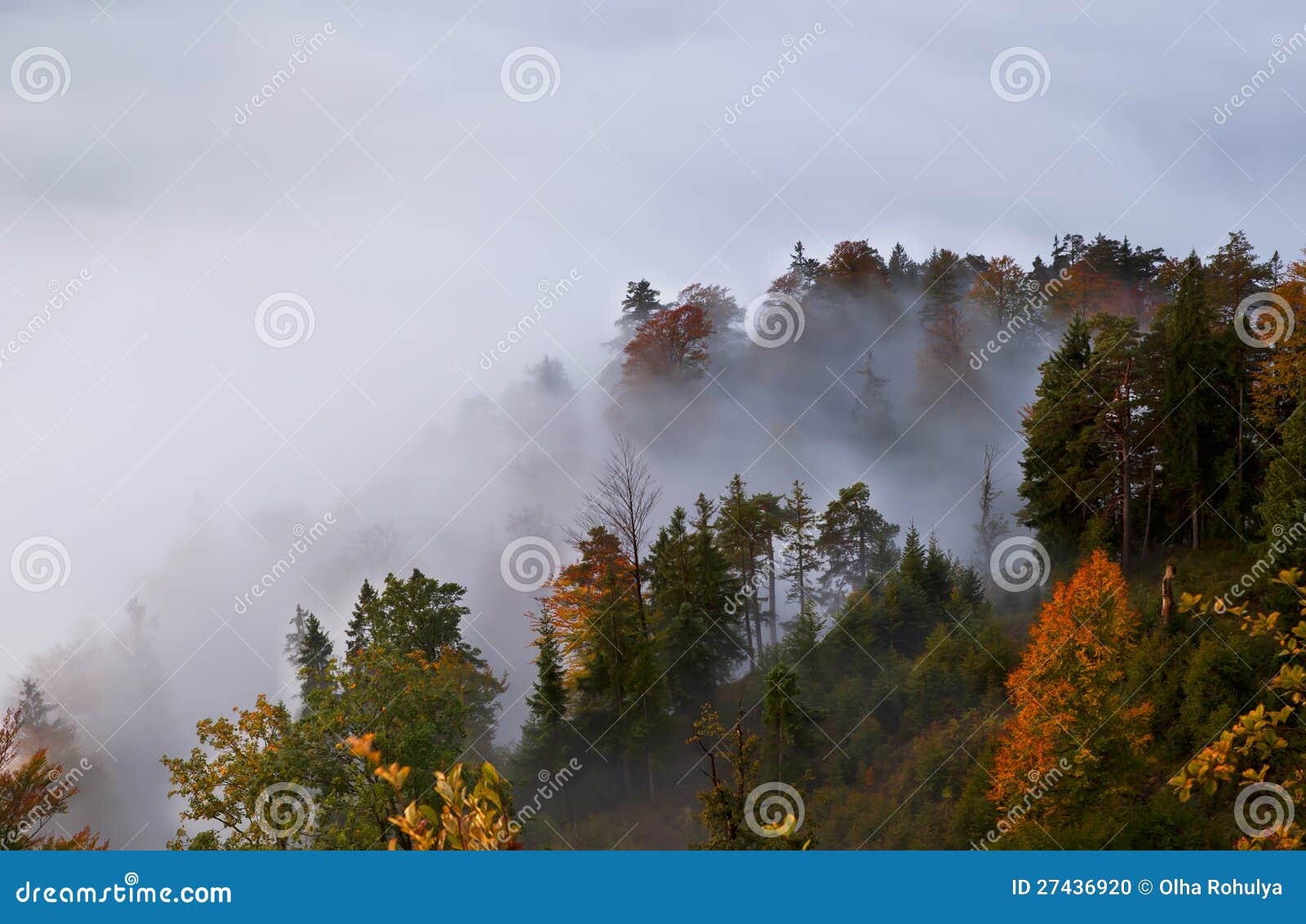 Autumn Alpine Forest in Fog Stock Photo - Image of early, morning: 27436920