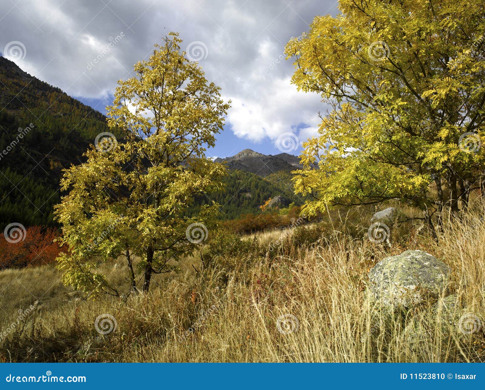 Autumn in Alps stock photo. Image of hill, spring, larch - 11523810
