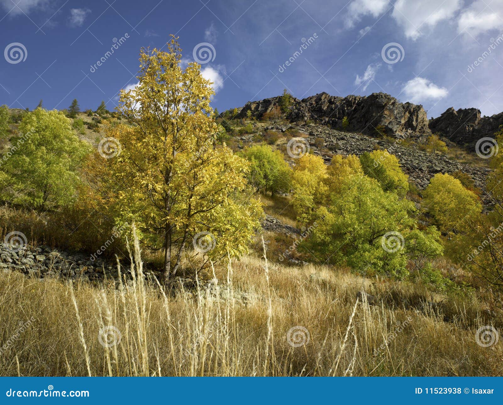 Autumn in Alps stock photo. Image of mountain, hill, sightseeing - 11523938