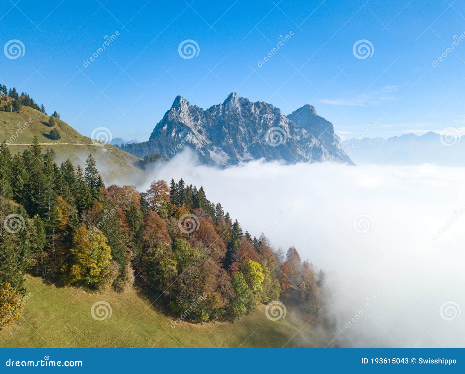 Autumn in alps stock image. Image of color, branch, orange - 193615043
