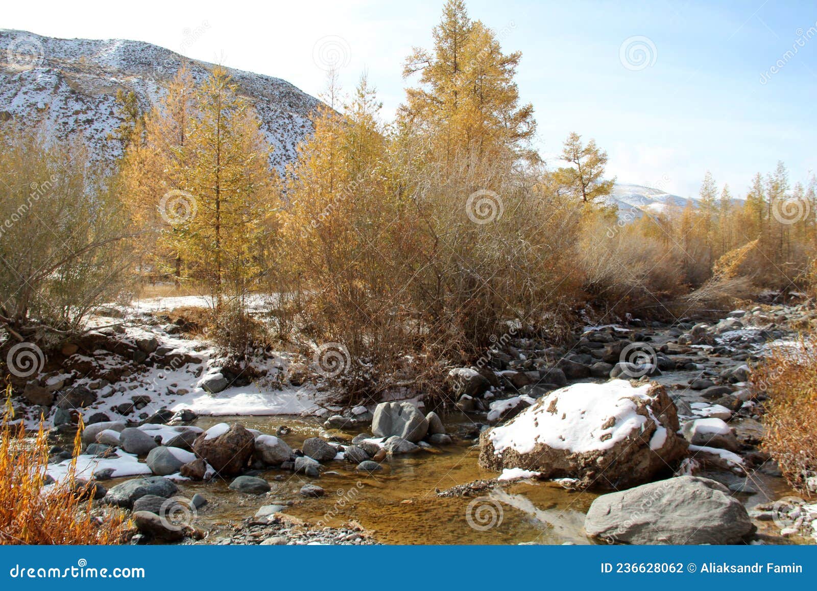 Landscape with a Mountain Stream and Trees. Landscape with a Mountain ...